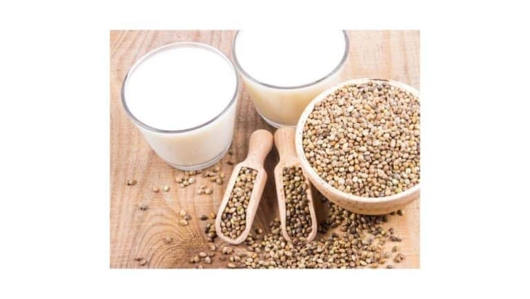 Keto Milk: 9 Low Carb Milk Options for Keto | Shortcut Keto